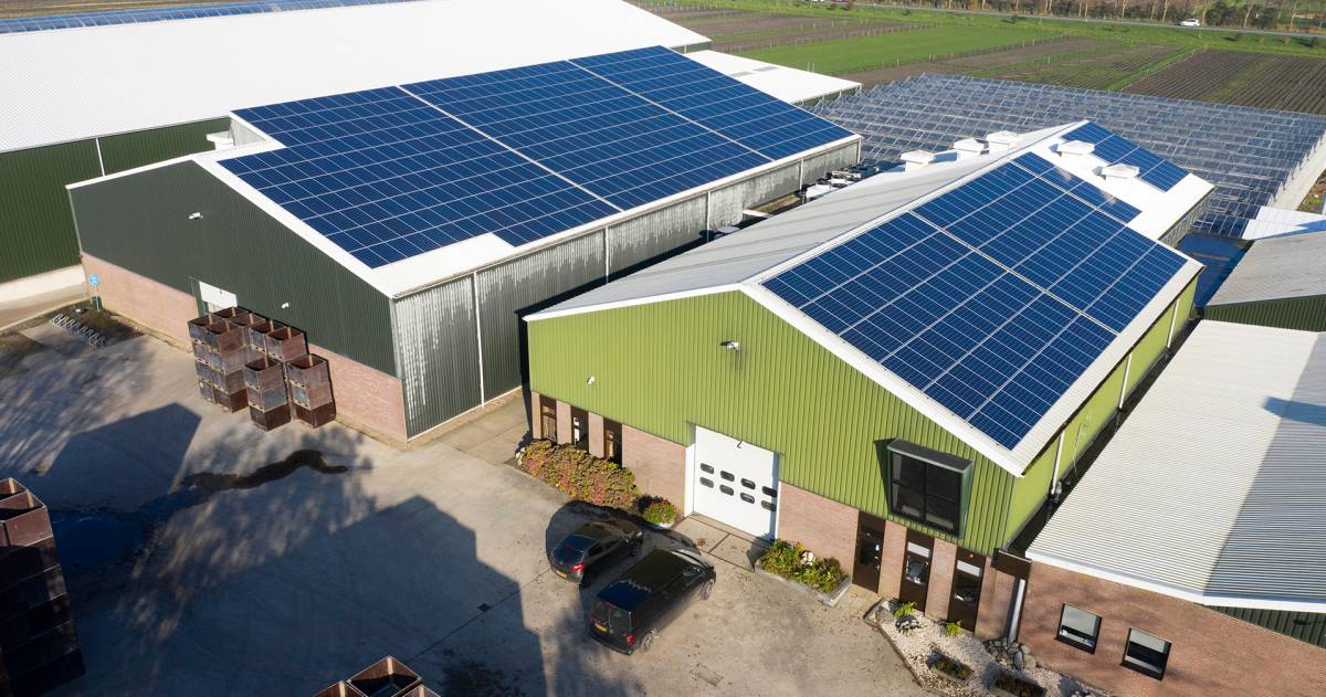 Marinus Jansen Verzekeringen in Harderwijk | Verzekeringen en hypotheken